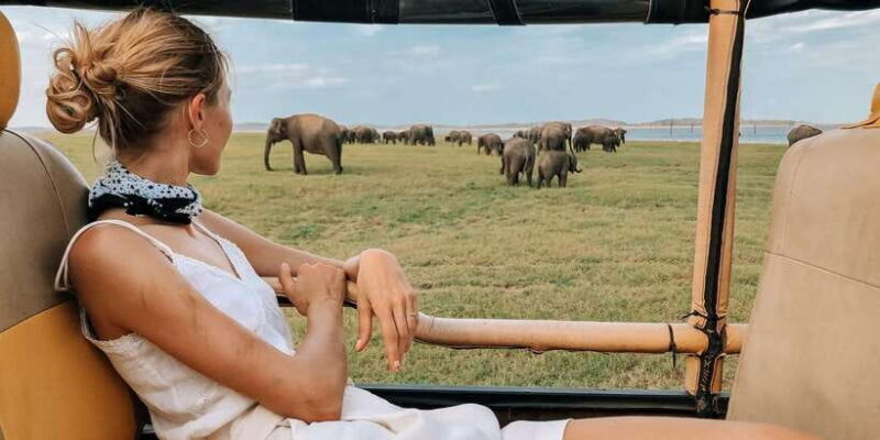 Tangalle/Hiriketiya: Udawalawa Safari & Elephant Orphanage - Key Points