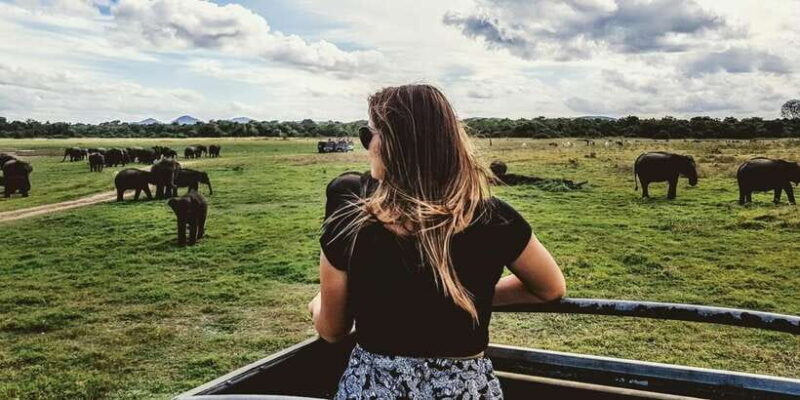 Tangalle/Hiriketiya: Udawalawa Safari & Elephant Orphanage - What the Tour Includes and What to Expect