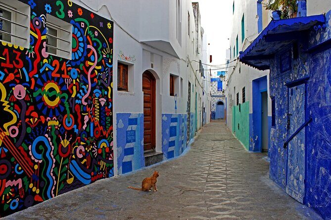 Tangier & Asilah Private Tour with from Malaga or Marbella - Who Should Consider This Tour?