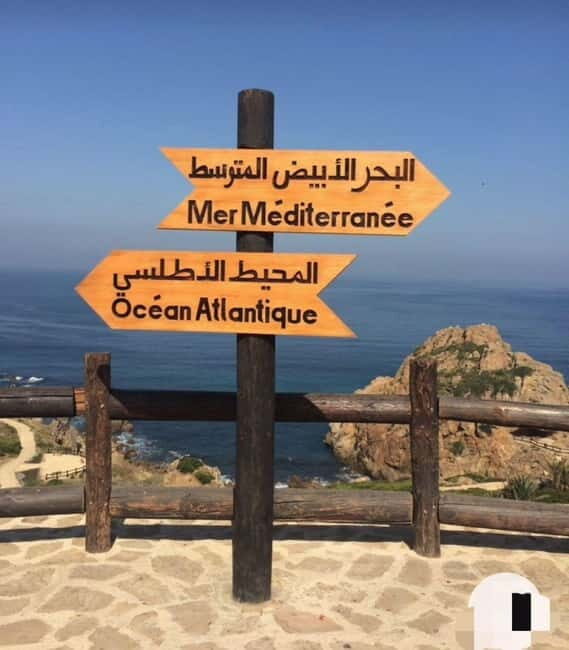 Tangier: Day Trip from Tarifa To Tanger { camel ride { plage - Key Points