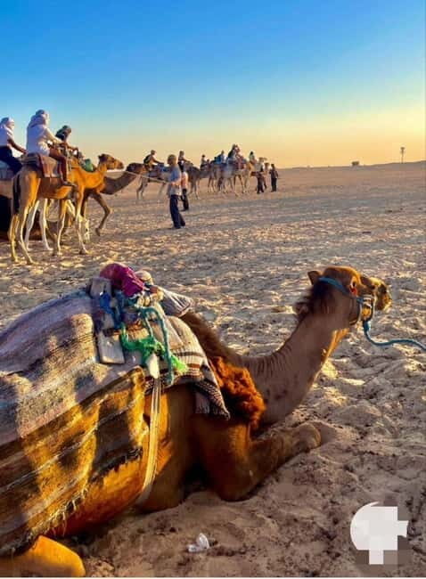 Tangier: Day Trip from Tarifa To Tanger { camel ride { plage - Shopping, Scenic Views, and Free Time