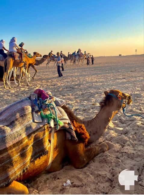 Tangier: Day Trip from Tarifa To Tanger { camel ride - FAQ