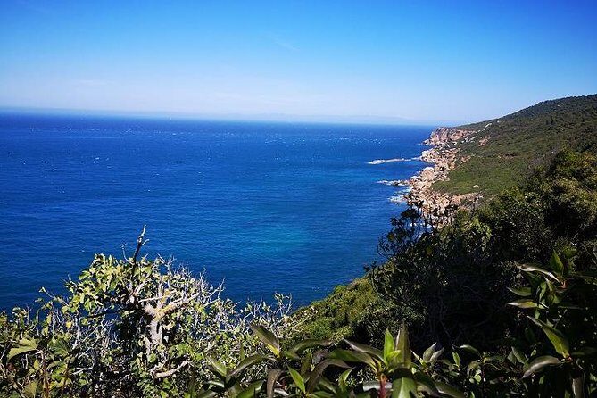 Tangier Guided Tour from Tarifa - An Introduction to the Tour Experience