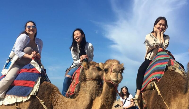 Tangier Private Half-Day Tour + Camel Ride + Add-on: Lunch - Who Is This Tour Best For?