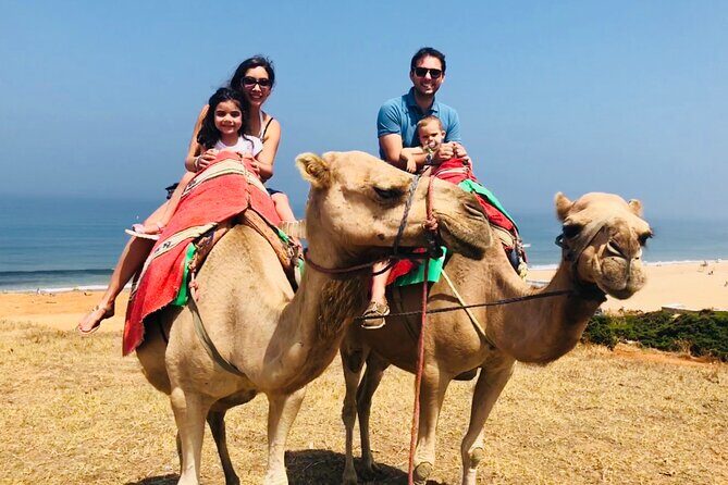 Tangier Private Tour from Malaga or Marbella w/ guide and driver - Analyzing the Value and Practical Aspects