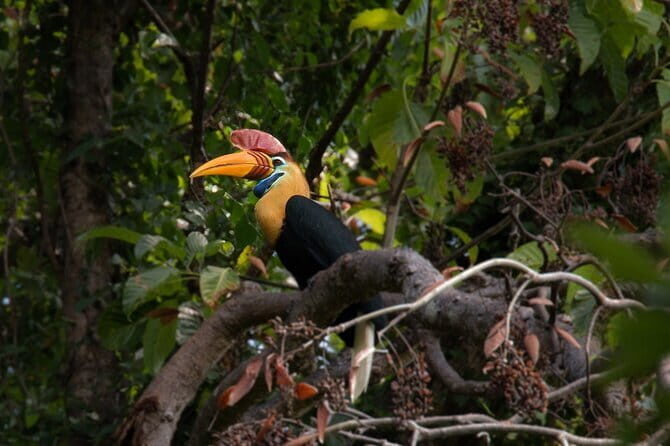 Tangkoko Bitung Manado Nature Tourism Park includes lunch. - The Real Experience: What Travelers Say