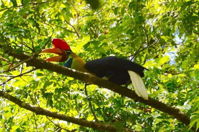 Tangkoko Bitung Manado Nature Tourism Park includes lunch. - Final Thoughts