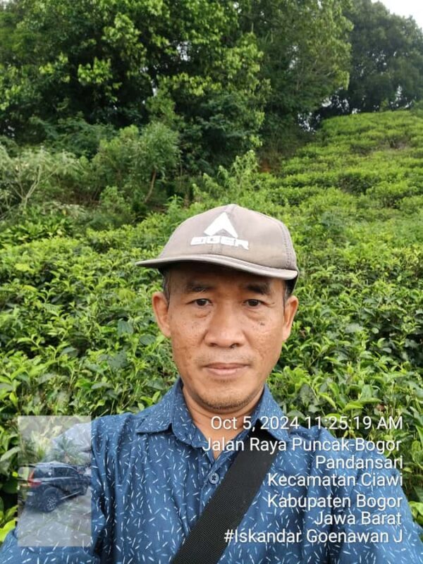 Tangkuban Perahu Mountain Tour - Exploring Mount Tangkuban Perahu: What You’ll Encounter