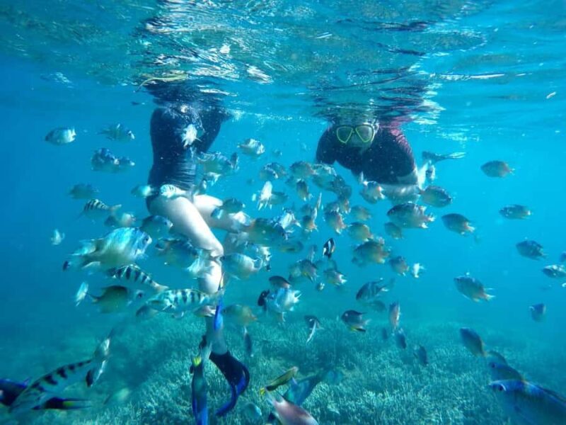 Tangsi Beach, Gili Gambir and Gili Petelu Snorkeling trip - Key Points
