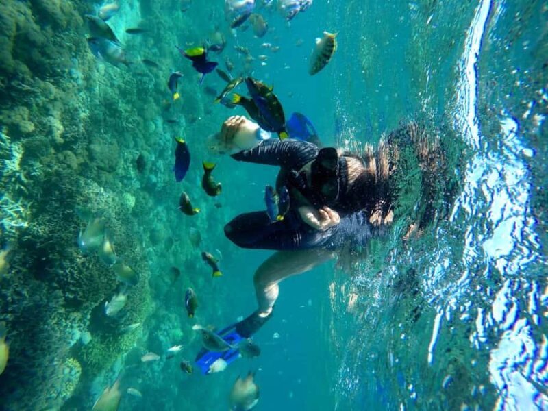 Tangsi Beach, Gili Gambir and Gili Petelu Snorkeling trip - Cost and Value