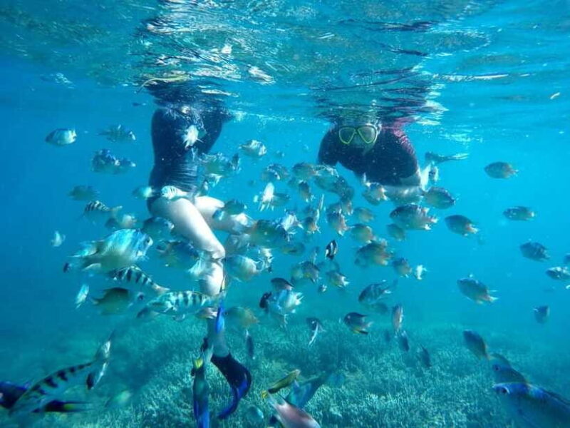 Tangsi Beach, Gili Gambir and Gili Petelu Snorkeling trip - Who This Tour Is Best For