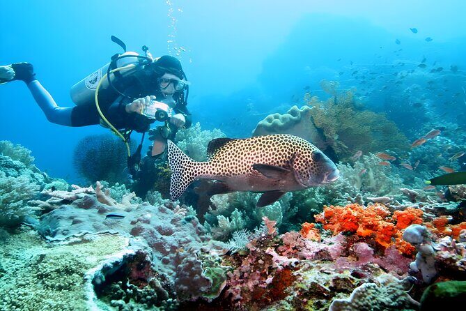 Tanjung Benoa Water Sports: The Nusa Dua Adventure Hub - Practical Details & Tips