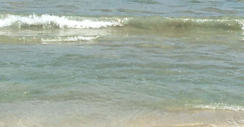 Tanoa Waterfront Hotel to Natadola Beach Round Trip - What to Expect at Natadola Beach