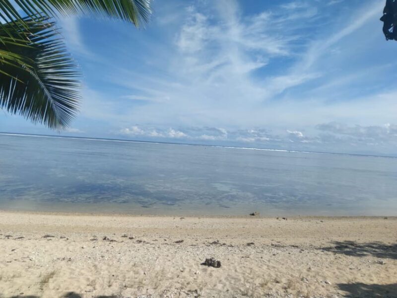 Tanoa Waterfront Hotel to Natadola Beach Round Trip - Who Should Consider This Tour?