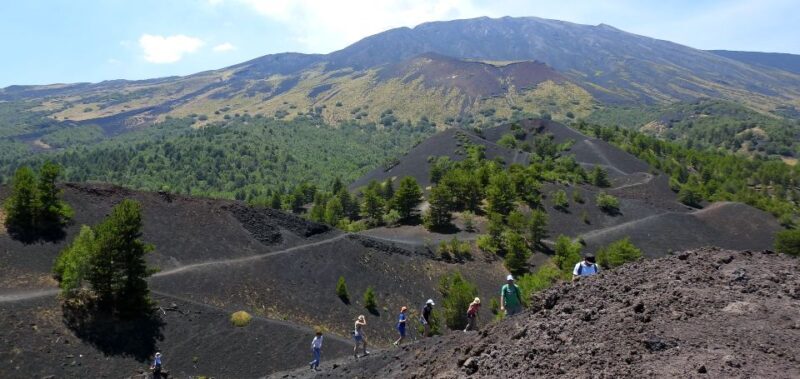 Taormina and Catania: Private Etna Exploration and Cave Tour - A Close Look at the Experience