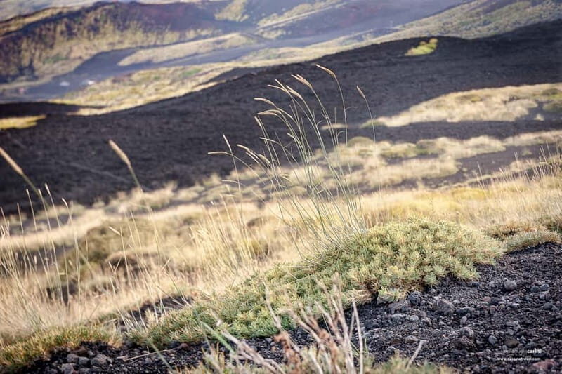 Taormina: Etna off-road 4x4 - Key Points