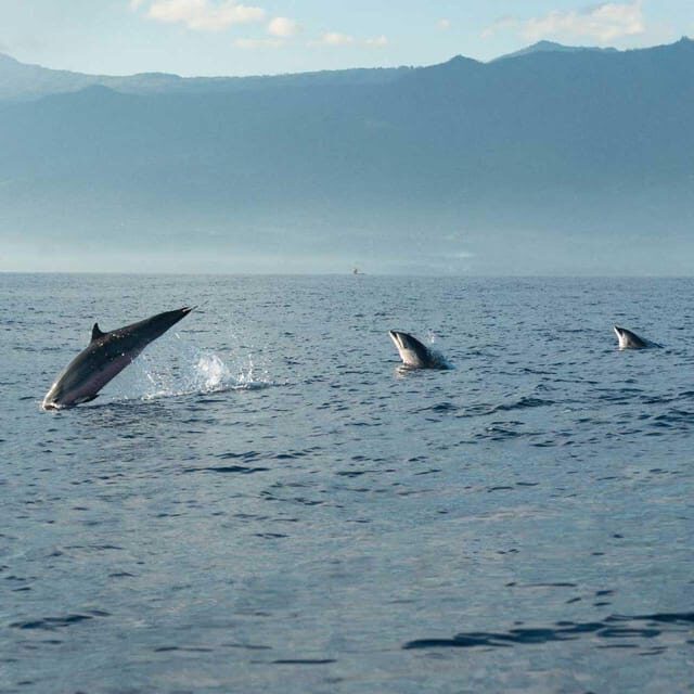 Taormina: Private Boat Tour with aperitif - Authentic Experiences Highlighted in Reviews