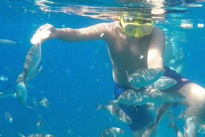 Taormina snorkeling experience - FAQ