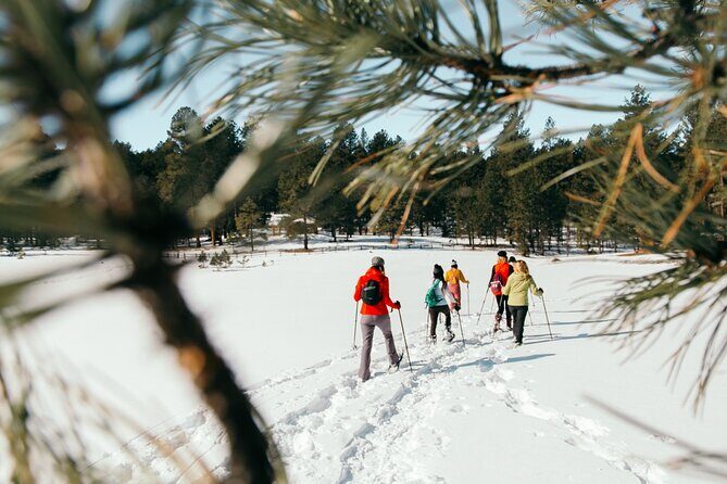 Taos Backcountry Snowshoe Tour - A Detailed Look at the Tour Experience