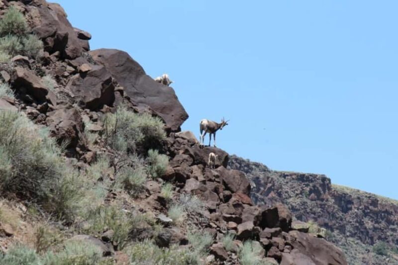 Taos Santa Fe ~ Kokopelli Taos Box Full Day Rafting - The Sum Up: Is It Worth It?