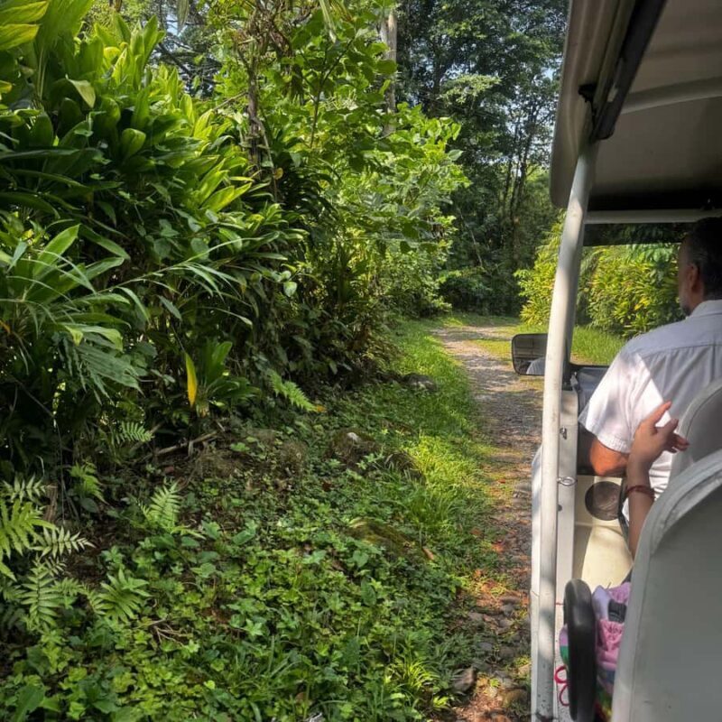 Tapachula: Argovia Coffee, Flowers, and Legacy Tour - Key Points