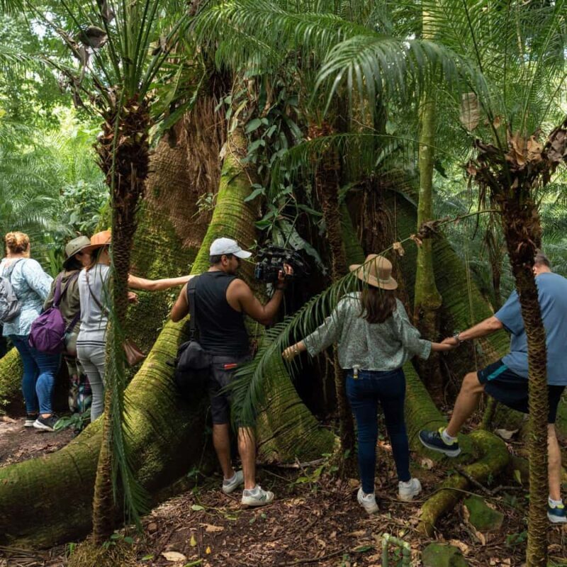 Tapachula: Argovia Coffee, Flowers, and Legacy Tour - An In-Depth Look at the Argovia Experience