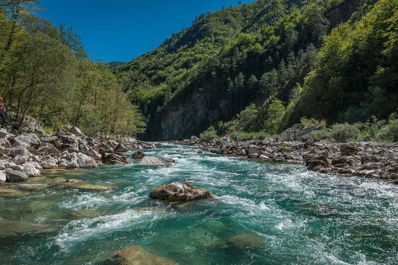 Tara Canyon: One Day Tara Kayaking Trip - Authentic Feedback from Participants