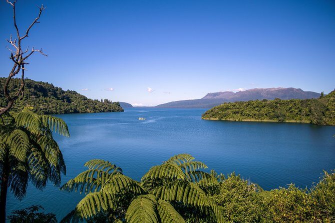 Tarawera and Rotorua Lakes Eco Tour by Boat with Guide - Authenticity, Value, and Practical Tips