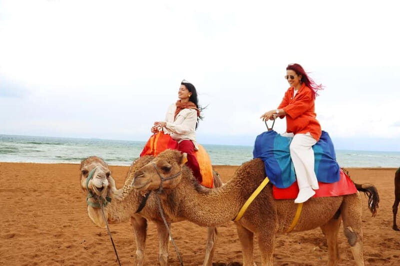 Tarifa: Day trip to Tangier by ferry with lunch and tour guide - Frequently Asked Questions