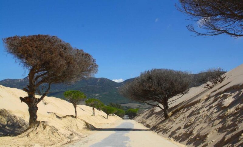 Tarifa: Ebike Rental Ruta del Estrecho - What is the Ebike Rental Ruta del Estrecho?
