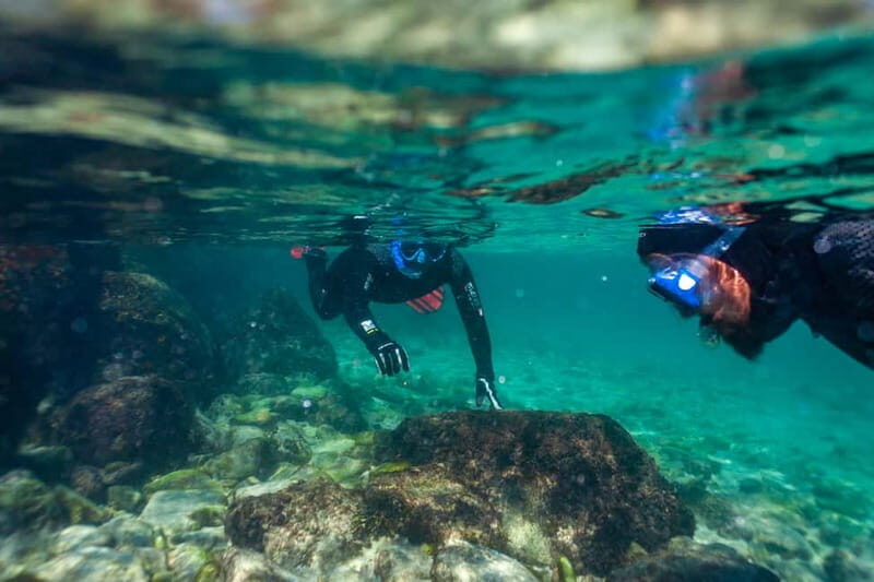 Tarifa: Guided Strait Natural Park Snorkel Tour - FAQs about the Tarifa Guided Strait Natural Park Snorkel Tour
