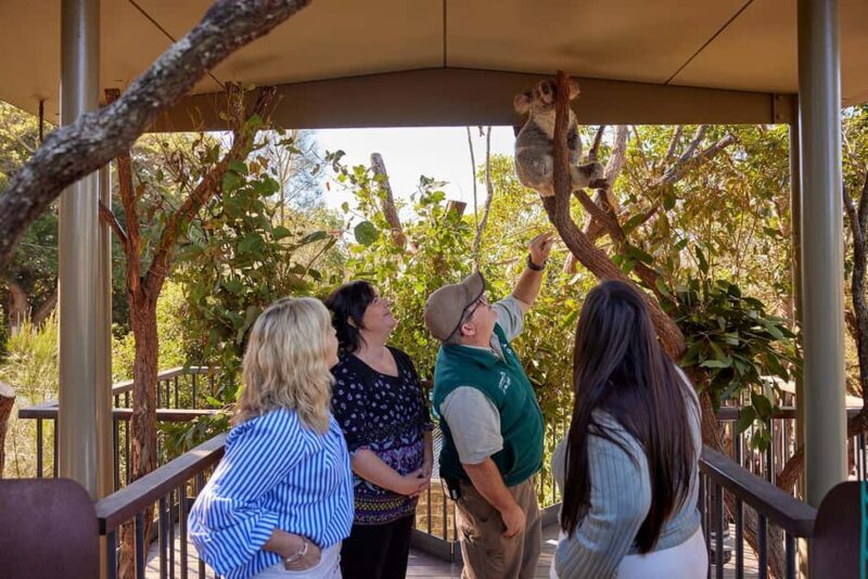 Taronga Zoo Sydney Wild Australia Experience - The Sum Up: Who Should Consider This Tour?