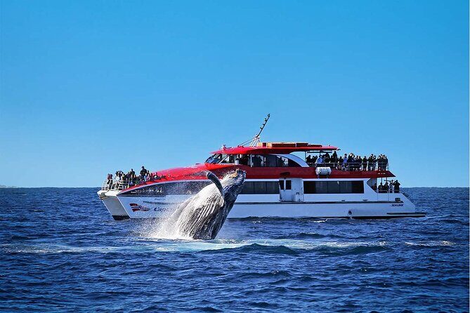 Taronga Zoo & Whale Watching Cruise Combo - Sydney Harbour - Key Points