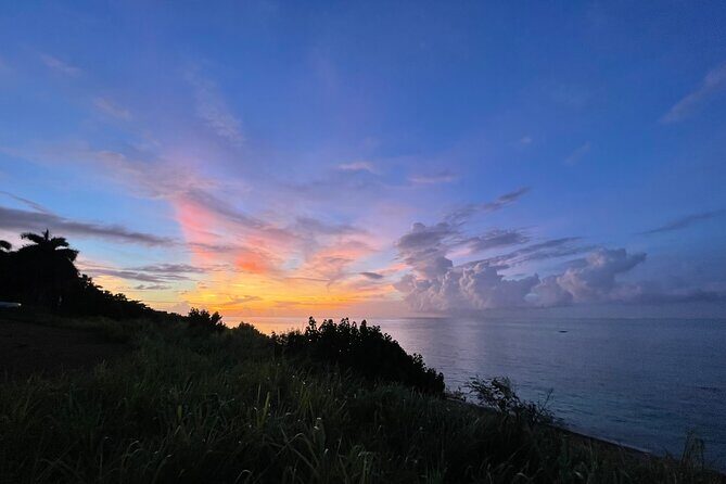 Tarot and Tea a Private Tropical Timeout in Montego Bay - Key Points