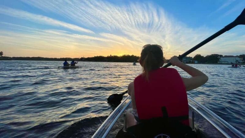 Tarpon Springs: Clear Kayak Eco-Tour with Manatee Viewing - Key Points