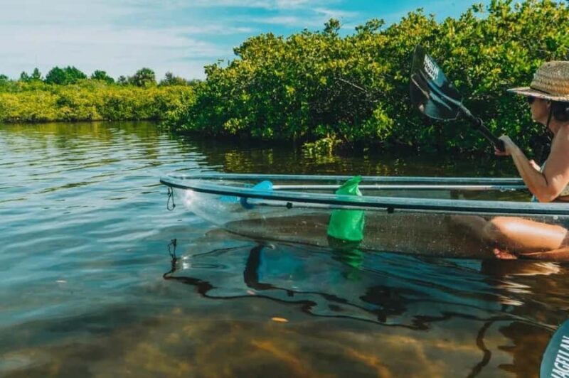 Tarpon Springs: Clear Kayak Eco-Tour with Manatee Viewing - Final Thoughts