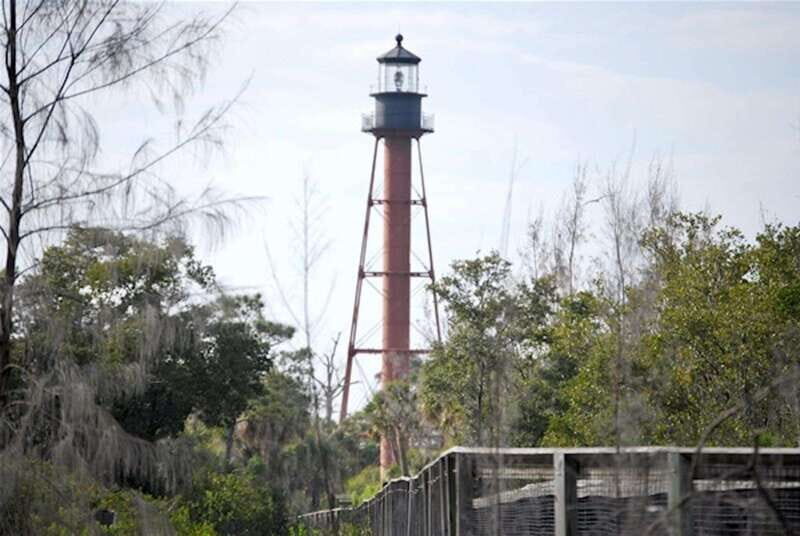 Tarpon Springs: Evening Dolphin Cruise - What to Expect on This Scenic Water Adventure
