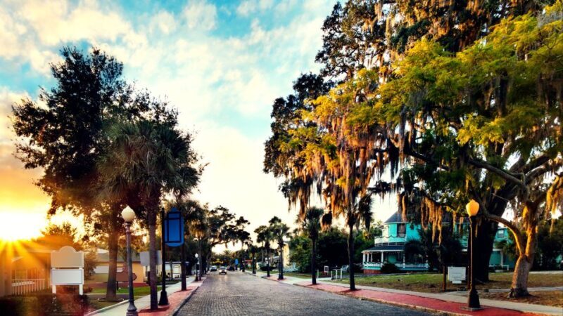Tarpon Springs: Ghost and Haunted History Tour - Introduction: What to Expect from the Tarpon Springs Ghost Tour