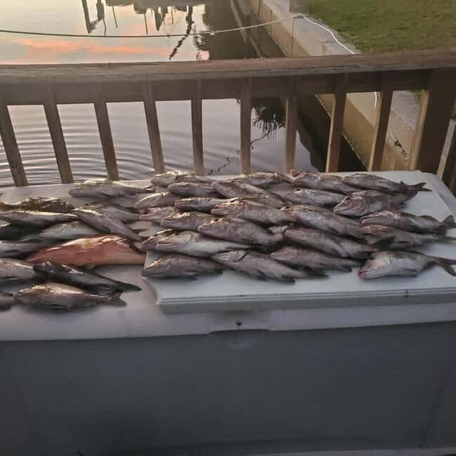 Tarpon Springs: Private Guided Gulf of Mexico Fishing Tour - A Practical Look at the Tour