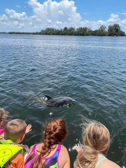 Tarpon Springs: Private Island Tour & Dolphin Cruise - Key Points