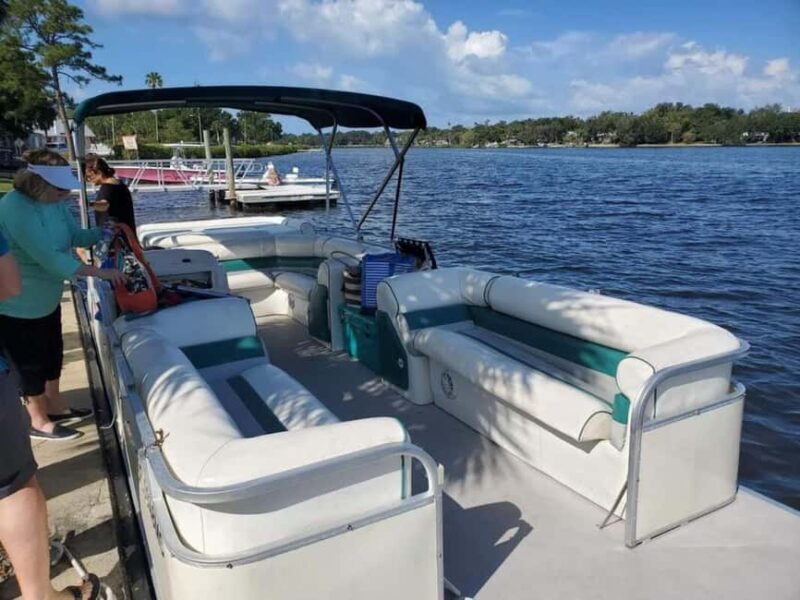 Tarpon Springs: Private Island Tour & Dolphin Cruise - The Value and Who Its For