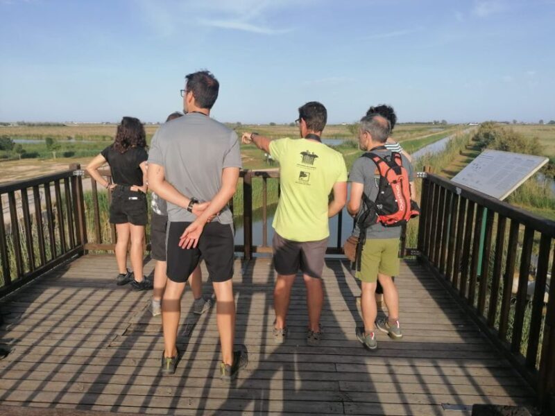 Tarragona: Southern Delta Birdwatching Private Tour - What You Can Expect From This Tour