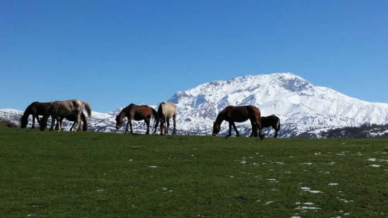Tashkent: 2-Day Western Tian-Shan Mountains Hike - Final Thoughts