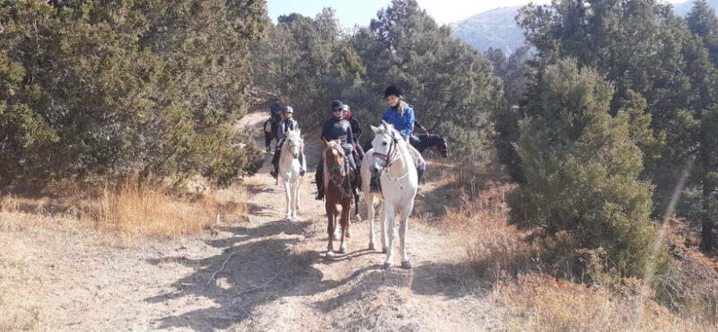 Tashkent: 3-Day Horseback Riding Tour in Chimgan Mountains - A Closer Look at the Itinerary
