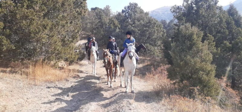 Tashkent: 3-Day Horseback Riding Tour in Chimgan Mountains - Practical Tips for Travelers