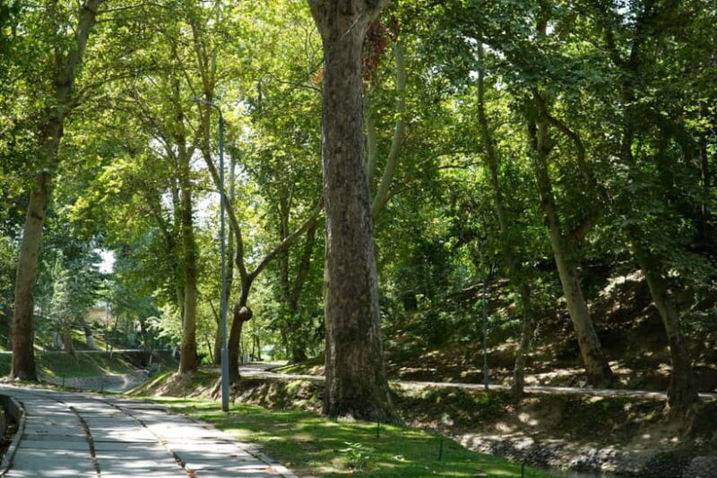 Tashkent: Culture, History and Photography Guided Tour - Memory and Resilience: Monuments of Courage and Repression