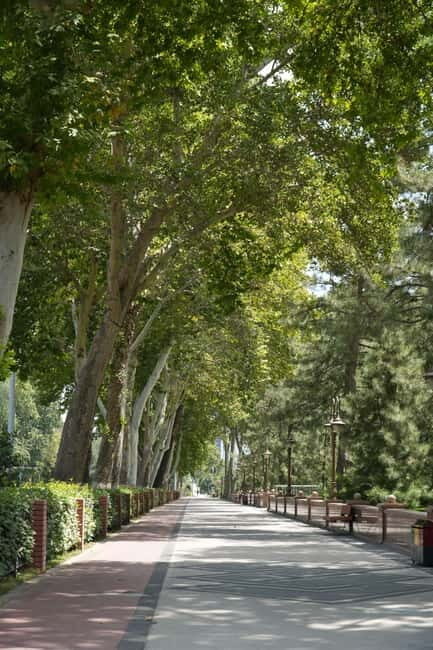 Tashkent: Culture, History and Photography Guided Tour - Value and Practicalities