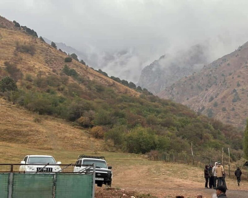 Tashkent Mountain tour - Why Choose This Tour?