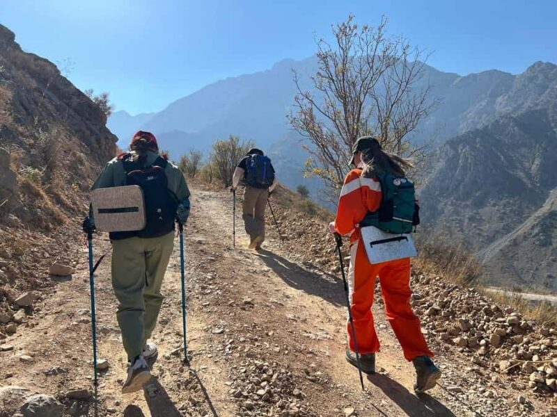 Tashkent: Obi-Rakhmat Cave and Paltau Waterfall Hike - Authenticity and Value