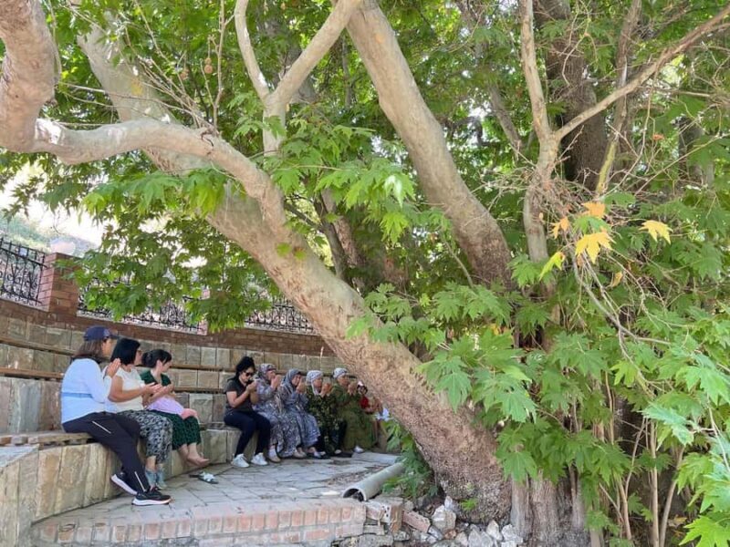 Tashkent: Solar Furnace Institute & Lunch in Yurt, Soqoq - Additional Insights from Travelers